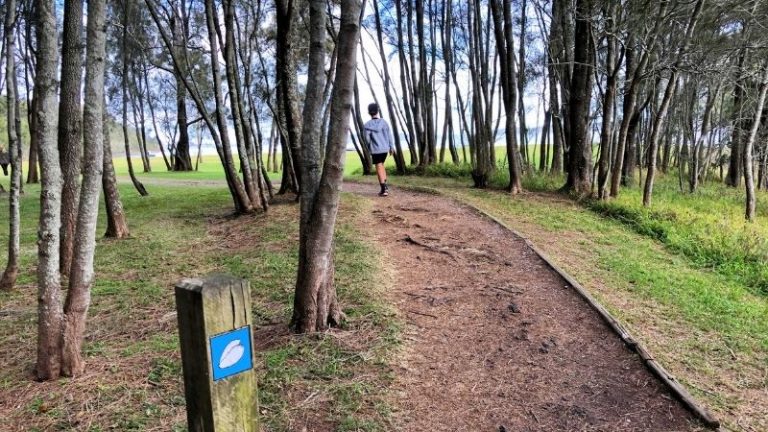 Green Point Lake Macquarie | Reserve | Lake Mac Family Life