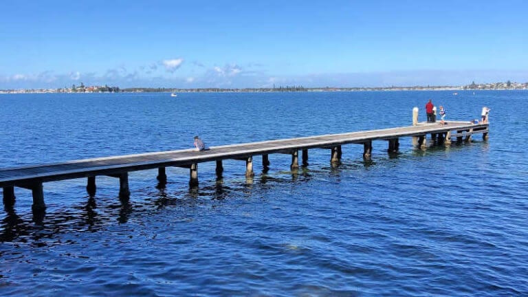 Green Point Lake Macquarie | Reserve | Lake Mac Family Life