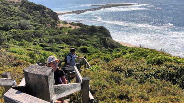 Caves Beach to Pinny Beach walk | coastal | Lake Mac Family Life