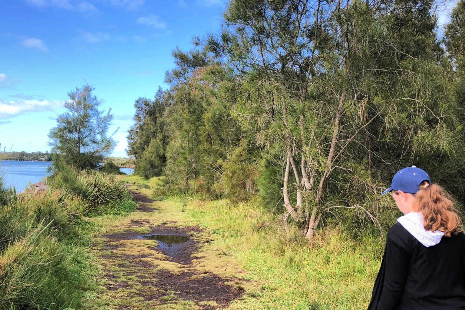 Blacksmiths Beach, Breakwall & Grannies Pool | Lake Mac Family Life