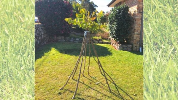 Sticks and twigs craft for kids | cheap, fun | Lake Mac Family Life