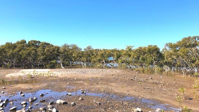 Swansea Bridge | Blacksmiths boatramp | Lake Mac Family Life