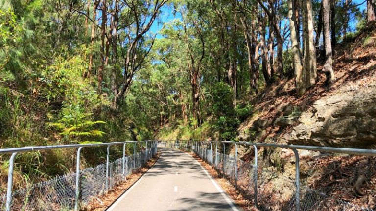 Exploring Fernleigh Track | walk, ride, scoot | Lake Mac Family Life